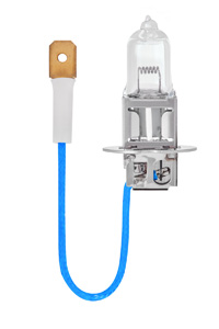 Ring | Standard 24V Bulbs